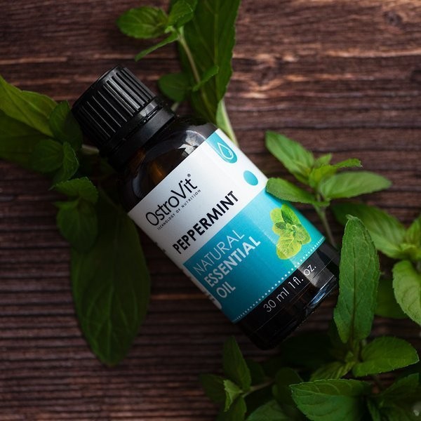 ETERIČNO Ulje Paprene Metvice - Esencijalno Ulje Mente ( Peperminta ...